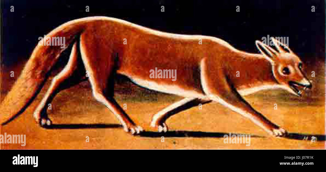 This work by Niko Pirosmani, titled 'Fox,' is a painting that reflects ...