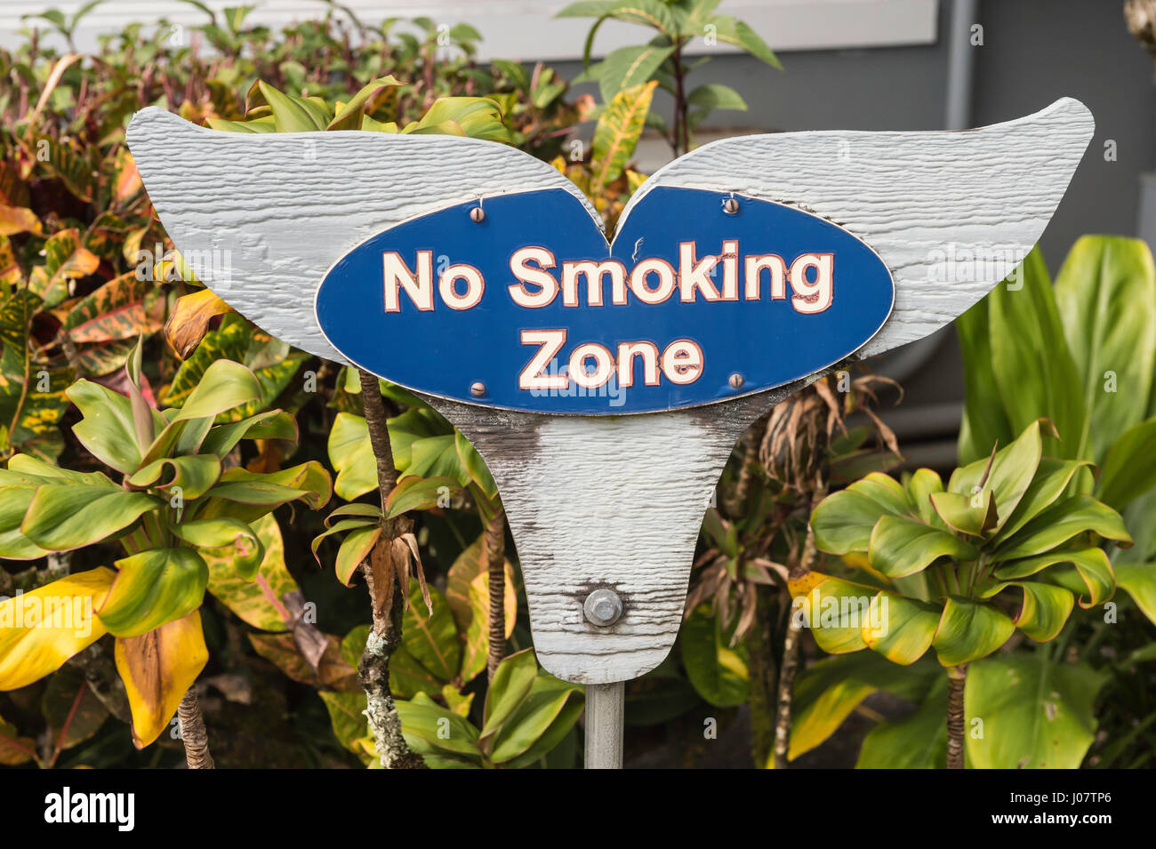 No smoking zone hi-res stock photography and images - Alamy