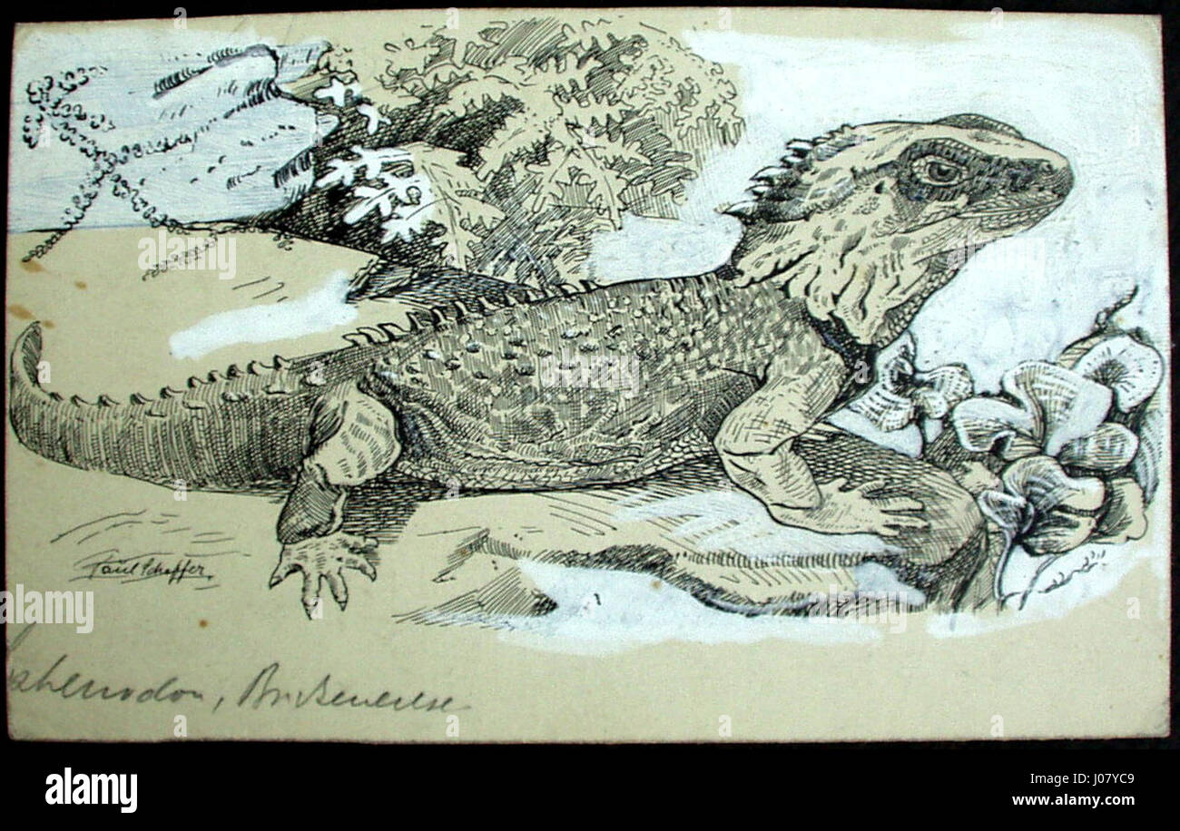 Paul scheffer hi-res stock photography and images - Alamy