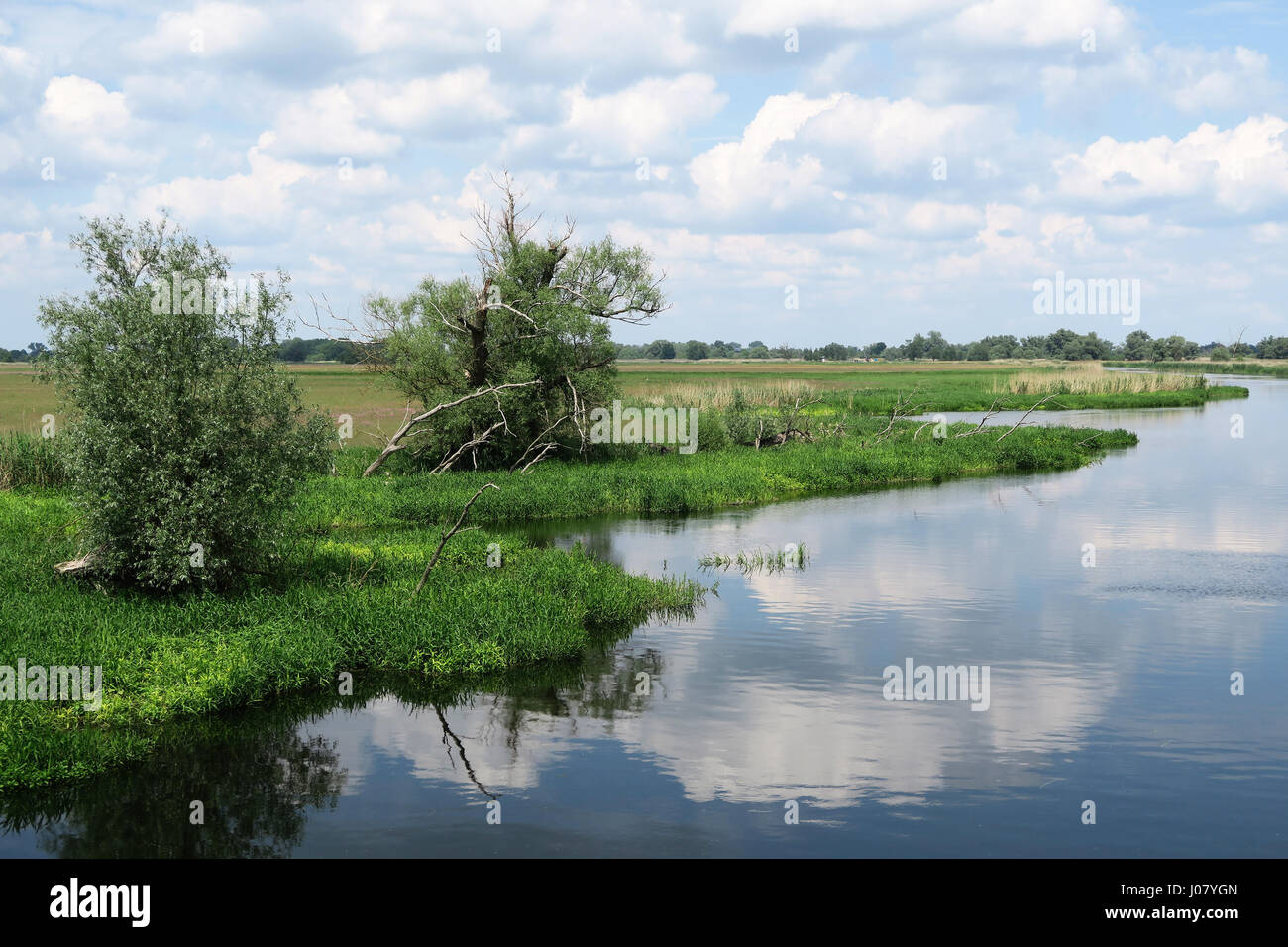 Havel river in summer flowing through Havelland (Brandenburg, Germany ...