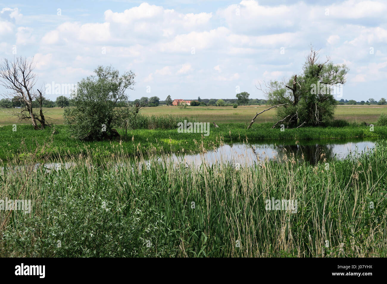 Havel river in summer flowing through Havelland (Brandenburg, Germany ...