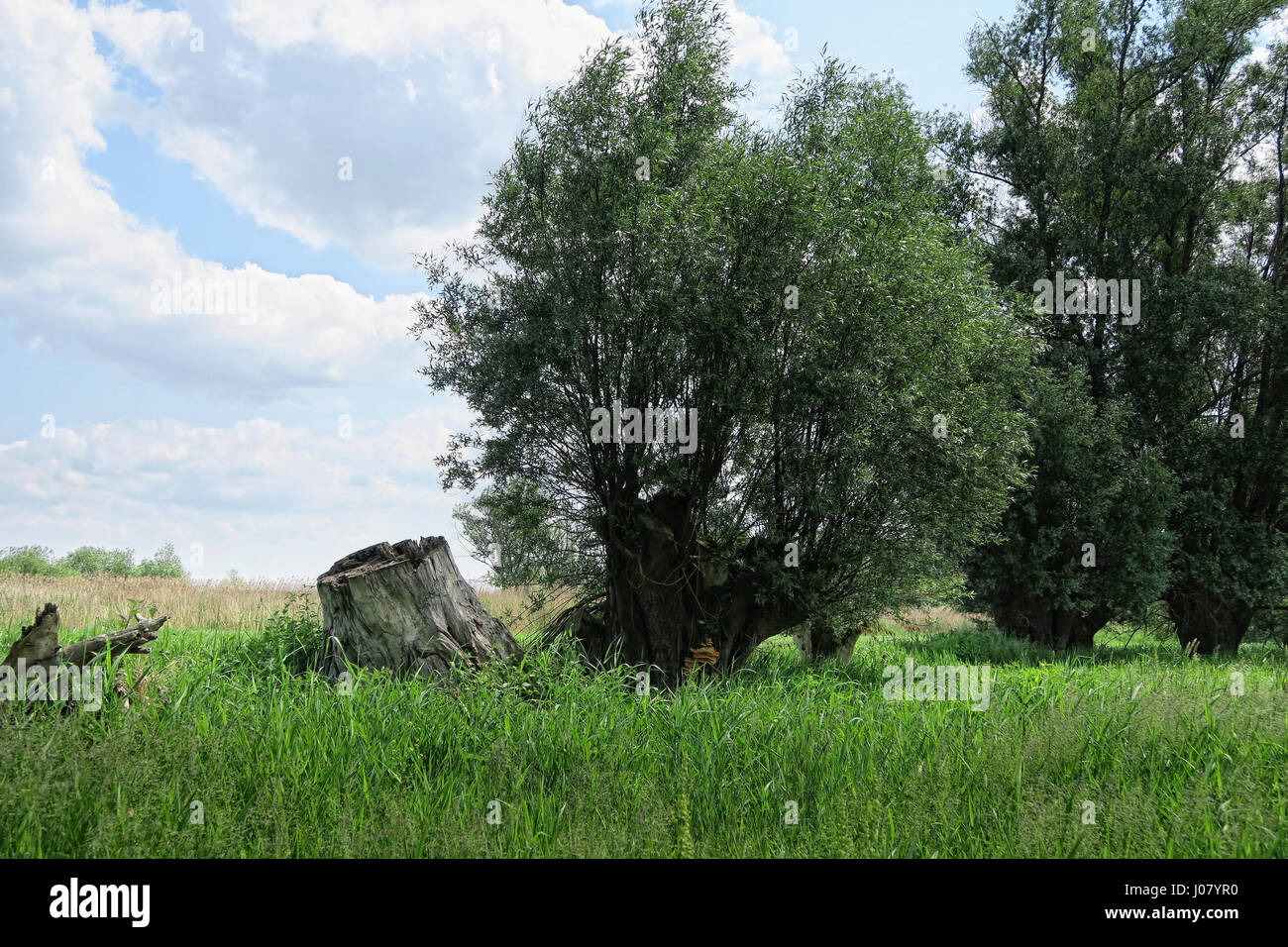 Green havelland hi-res stock photography and images - Alamy