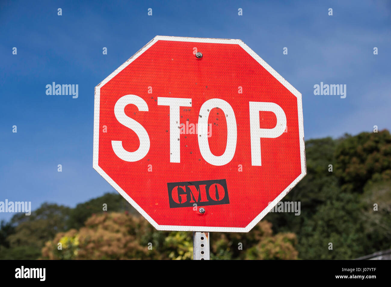 Stop sign with anti-GMO sticker, Kauai, Hawaii, USA Stock Photo - Alamy