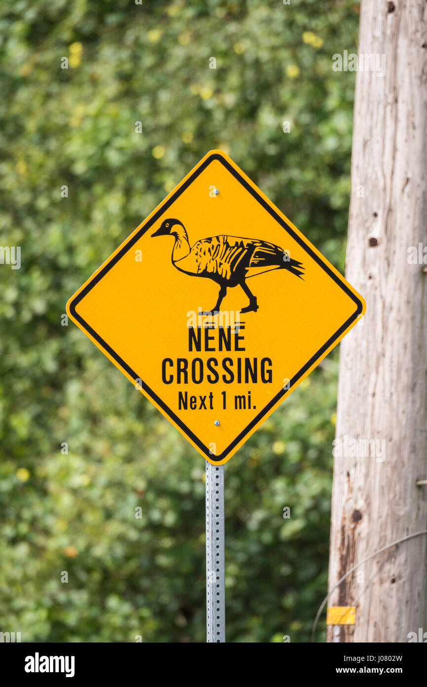 Goose warning traffic sign hi-res stock photography and images - Alamy