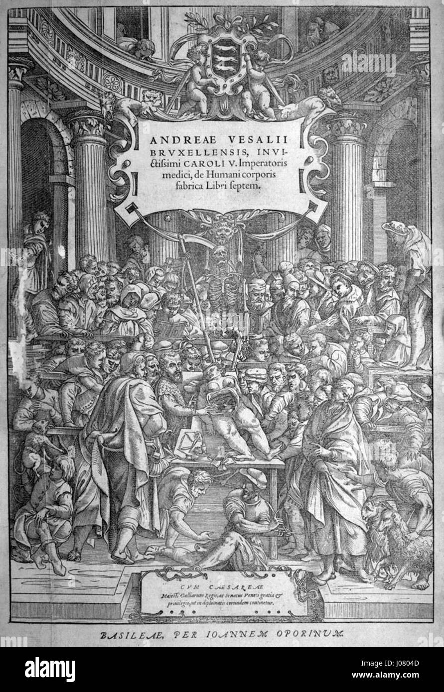 Body illustrations Black and White Stock Photos & Images - Alamy