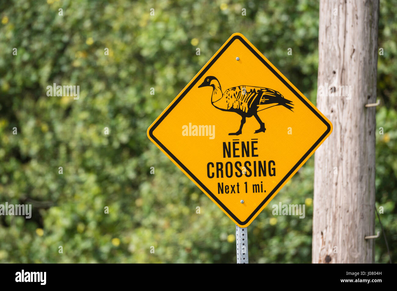Kauai road sign hi-res stock photography and images - Alamy