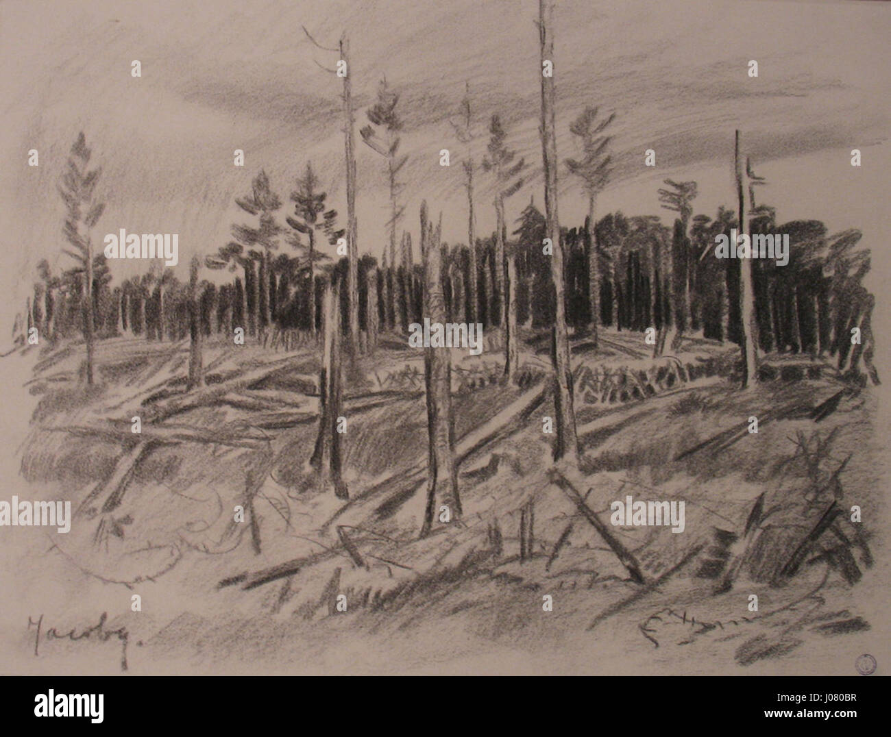 'Une forêt après la bataille' by Jacoby captures the aftermath of a ...
