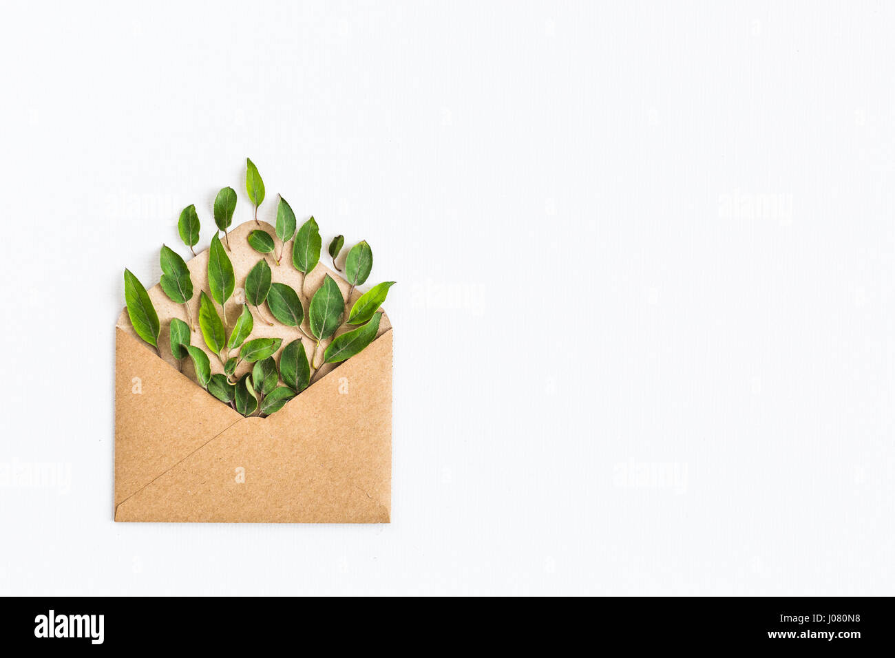 opened craft paper envelope filled with green leavess on white ...