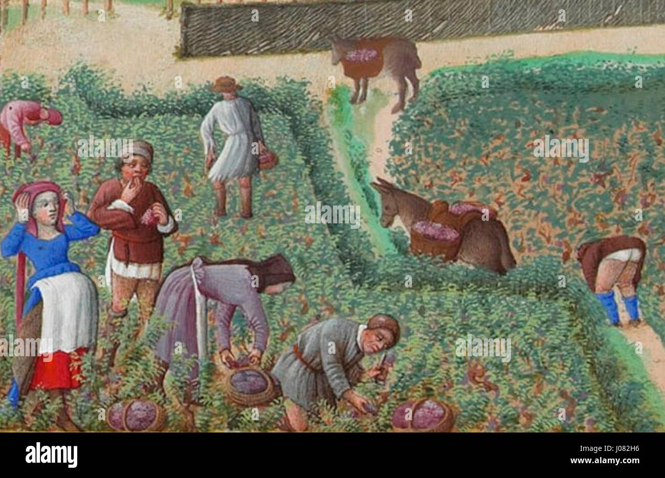 This miniature from the 'Très Riches Heures du duc de Berry' depicts a ...