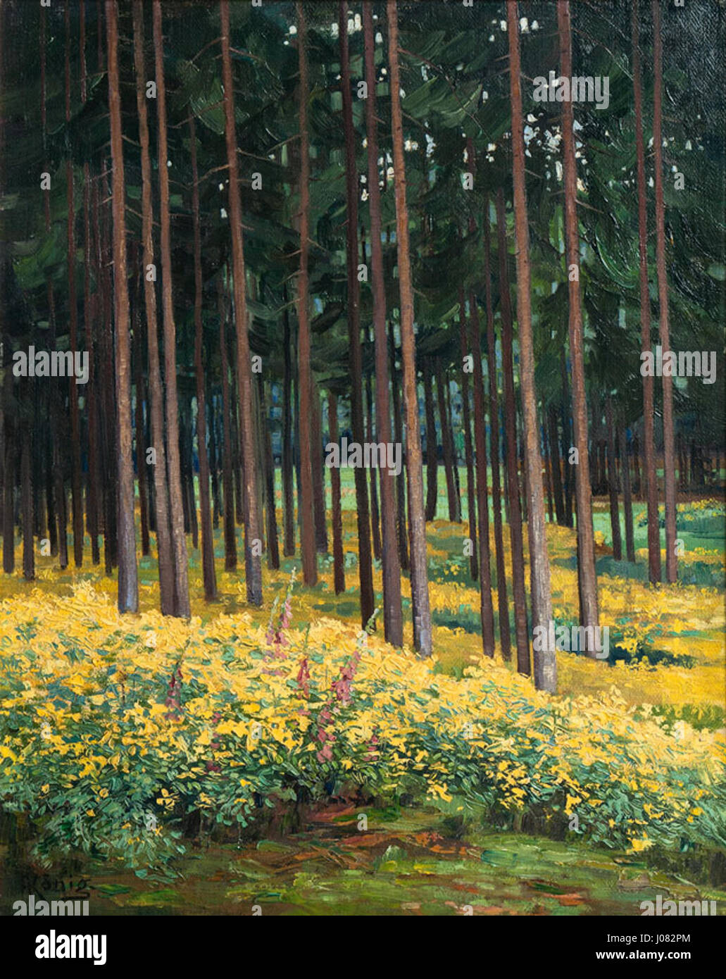 Konig albert museum hi-res stock photography and images - Alamy