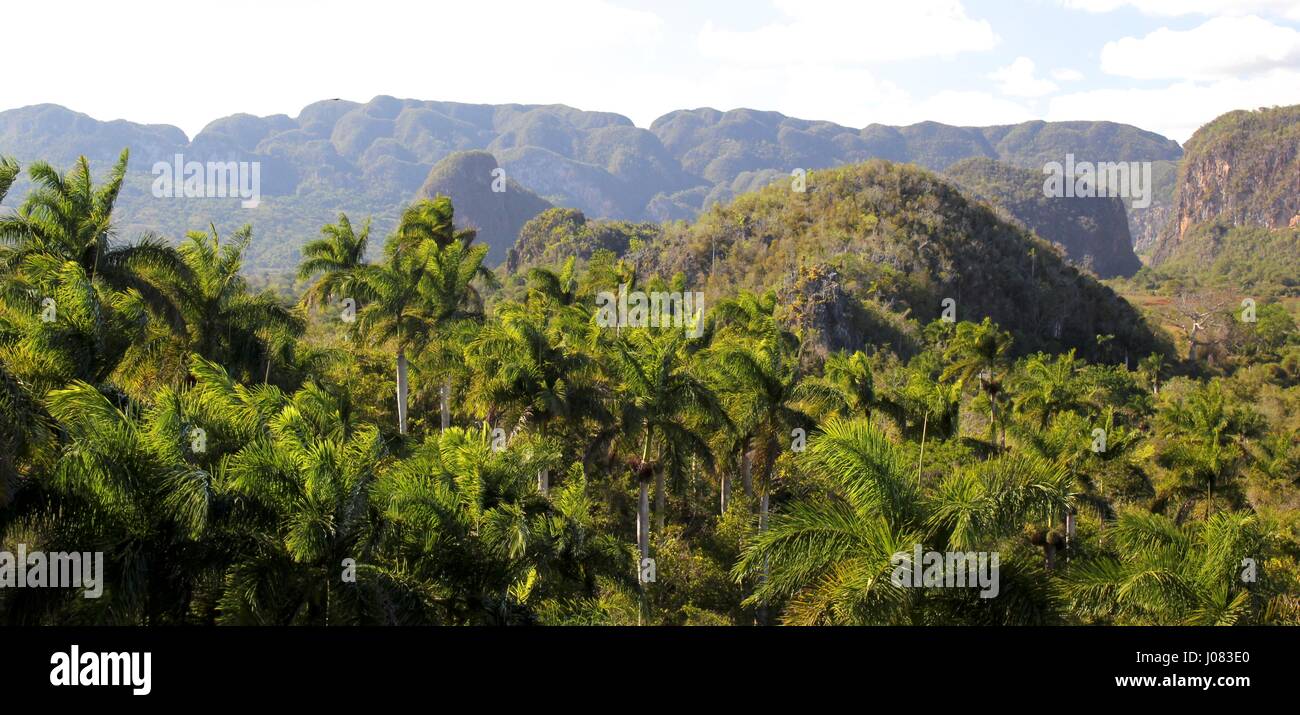 Cuban mogotes hi-res stock photography and images - Alamy