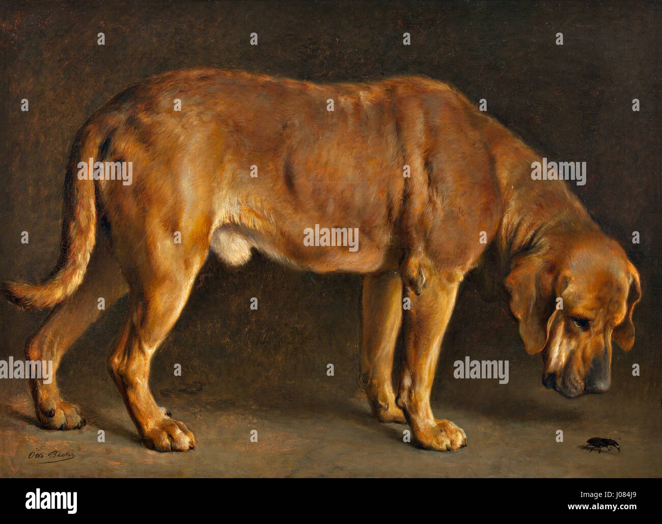 Otto Bache's 1871 painting 'En broholmerhund ser på en æghjort ...