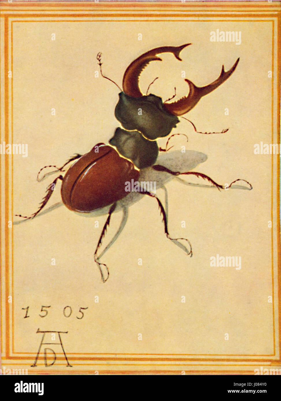 Albrecht Dürer’s 'Hirschkäfer' (Stag Beetle) is a detailed woodcut ...