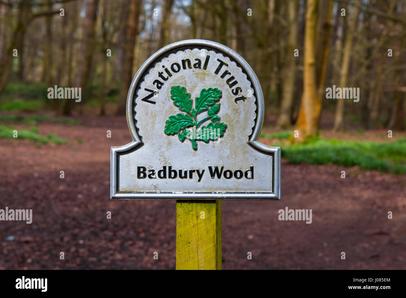 weathered national trust sign badbury wood near faringdon swindon Stock ...