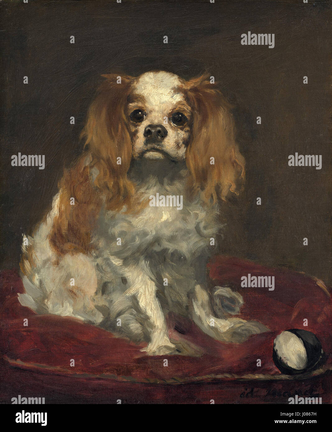 Édouard Manet’s 'A King Charles Spaniel' is a painting of a small dog ...