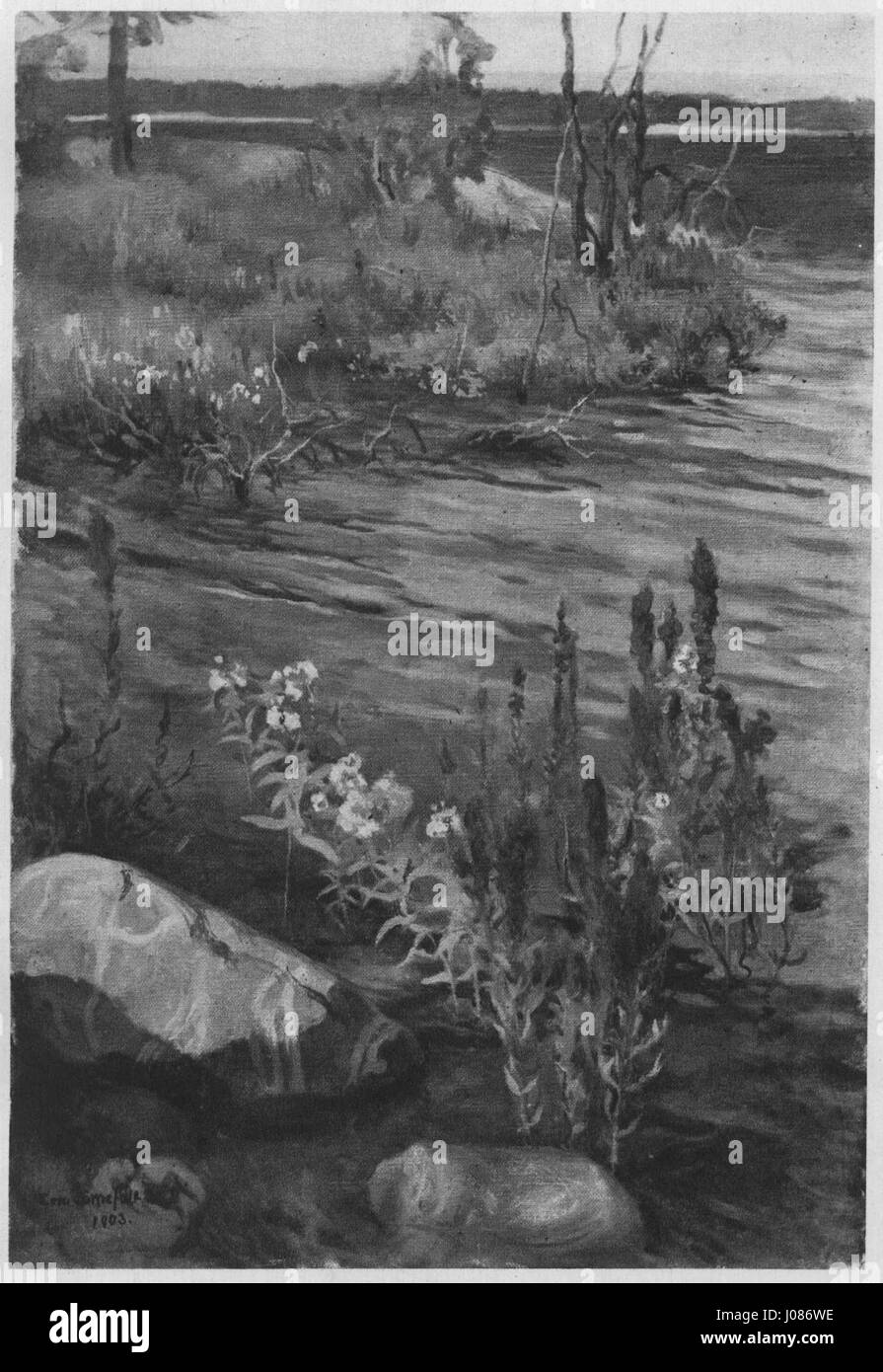 Peaceful natural landscape featuring Black and White Stock Photos ...