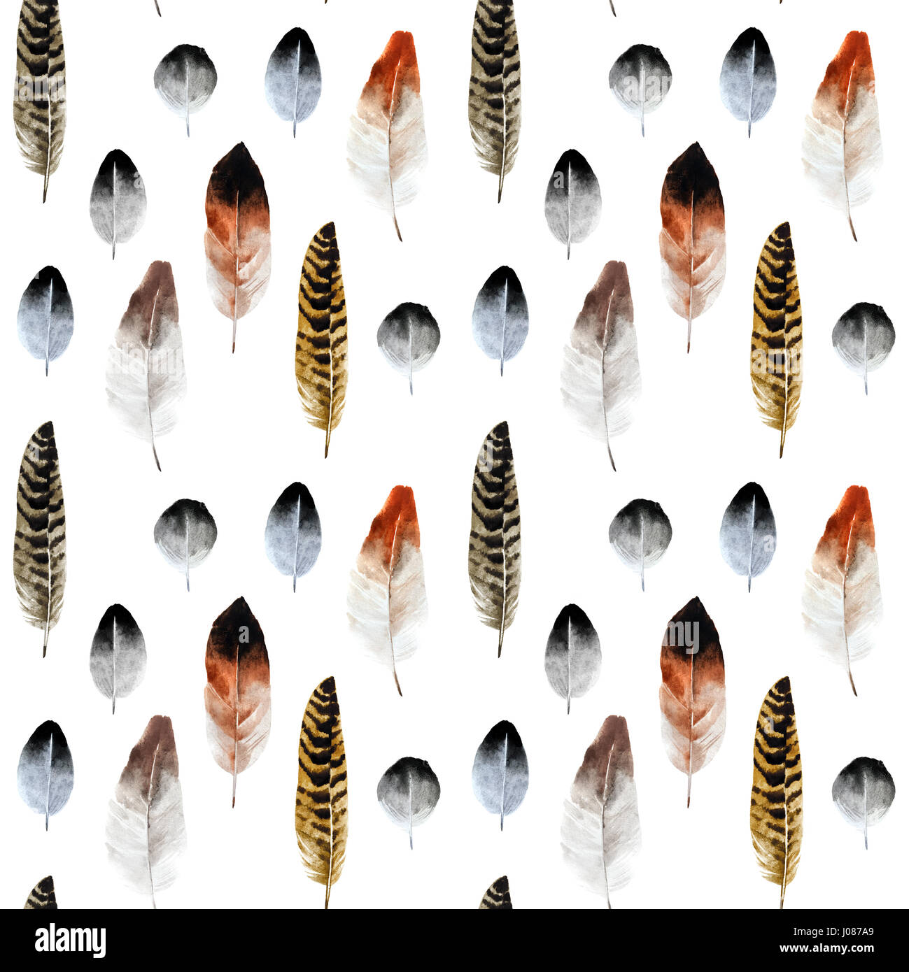 Seamless pattern with watercolor feathers isolated on white background ...