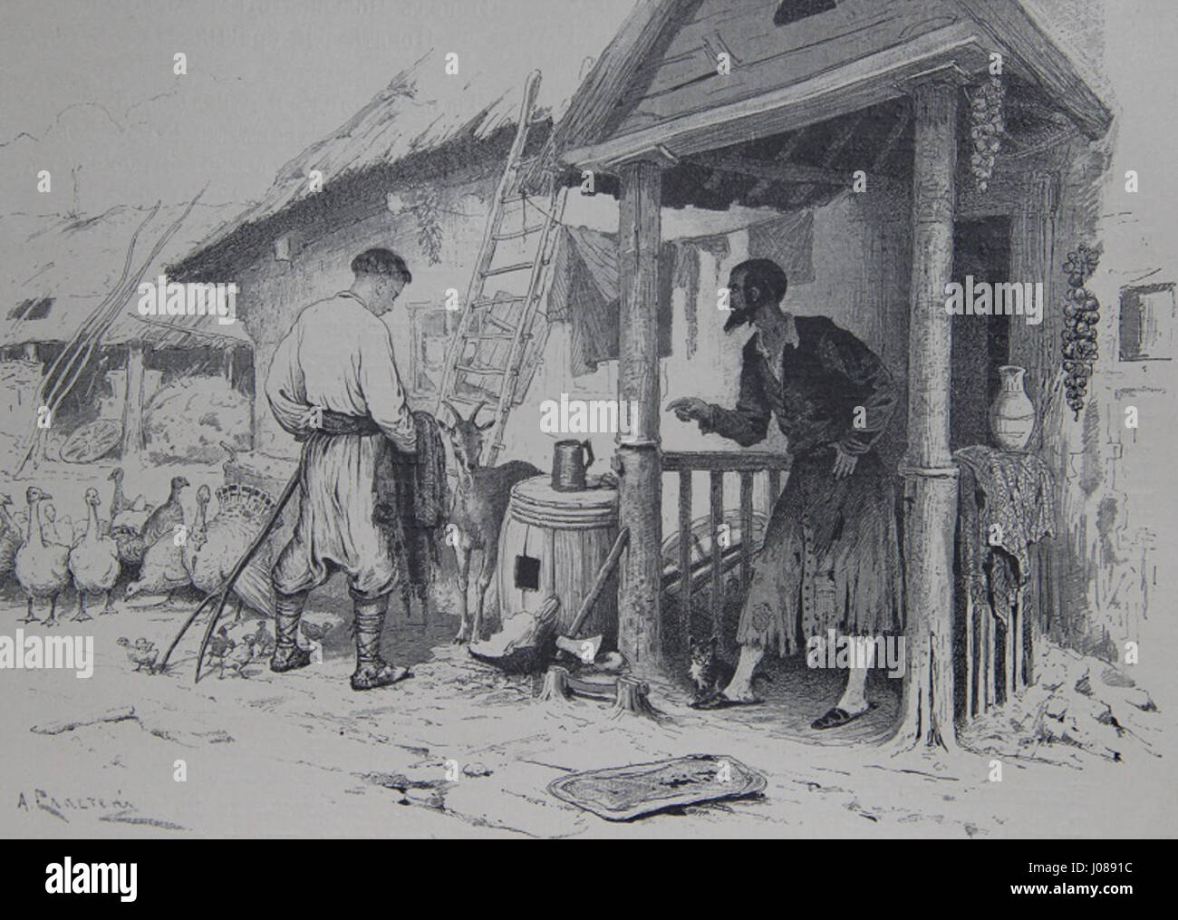 'Доброта. Широкий Угол - Добрый. Всемирная Звезда 1886' ('Kindness ...