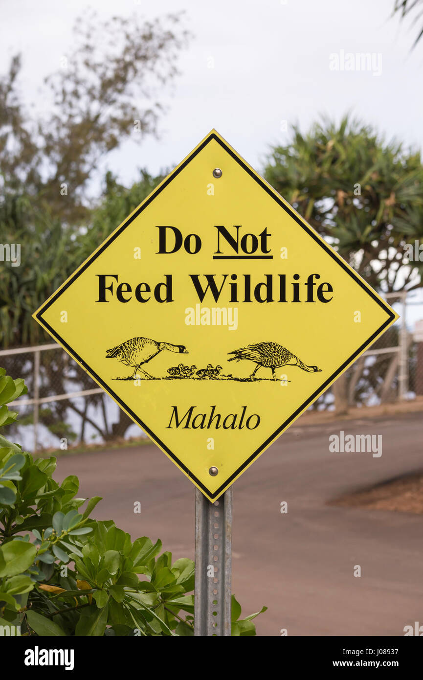 Do Not Feed Wildlife, Mahalo, sign, Kilauea Point National Wildlife ...