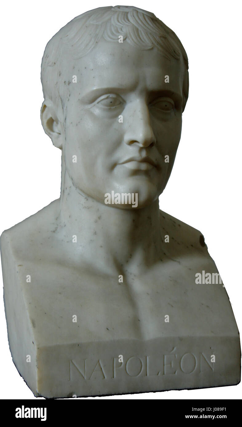 'Napoléon 3073' is a painting depicting Napoleon Bonaparte, reflecting ...