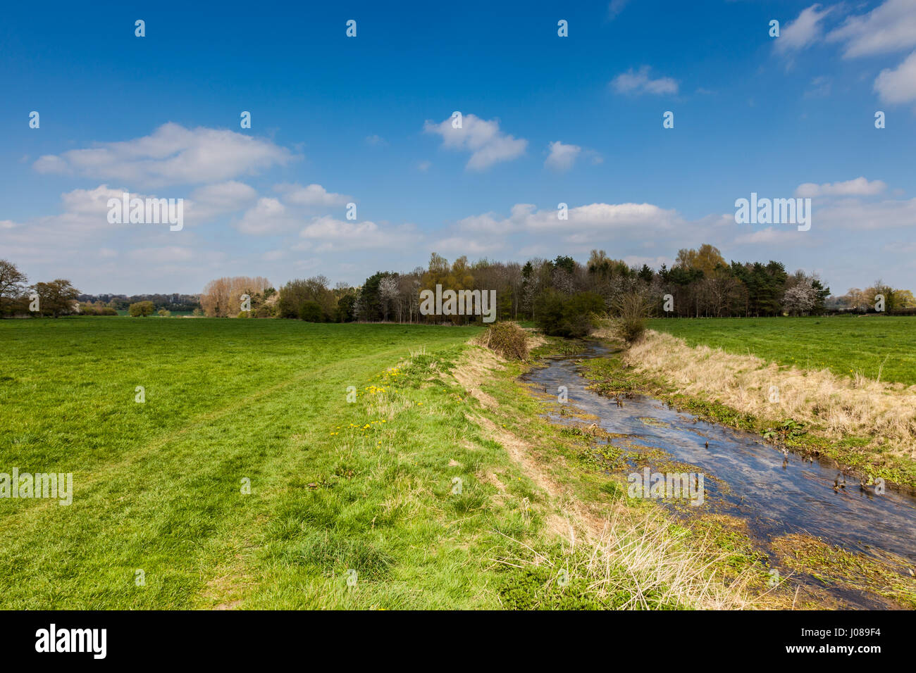 The infant River Thames, near Kemble, Cirencester, Gloucestershire ...