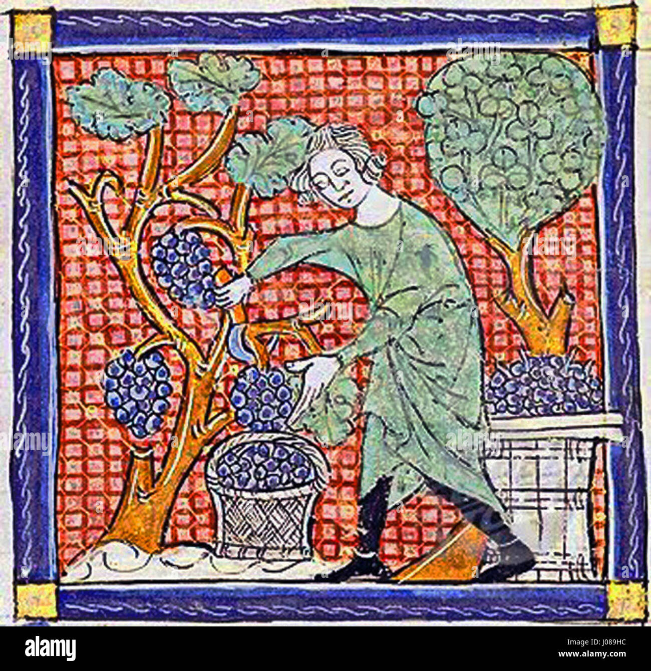 'Vendanges Médiévales' (Medieval Harvest) depicts a scene from the ...