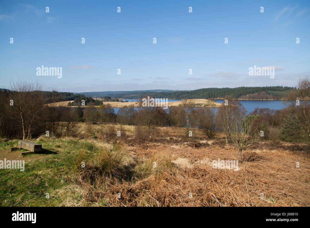 Kielder Forest Park High Resolution Stock Photography and Images - Alamy