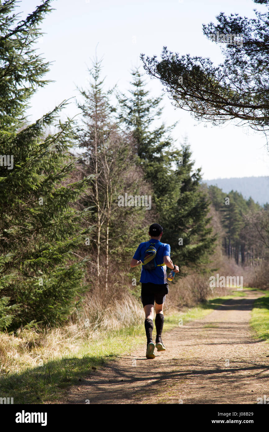 A trail runner in Kielder Forest Park in Northumberland, England. The ...