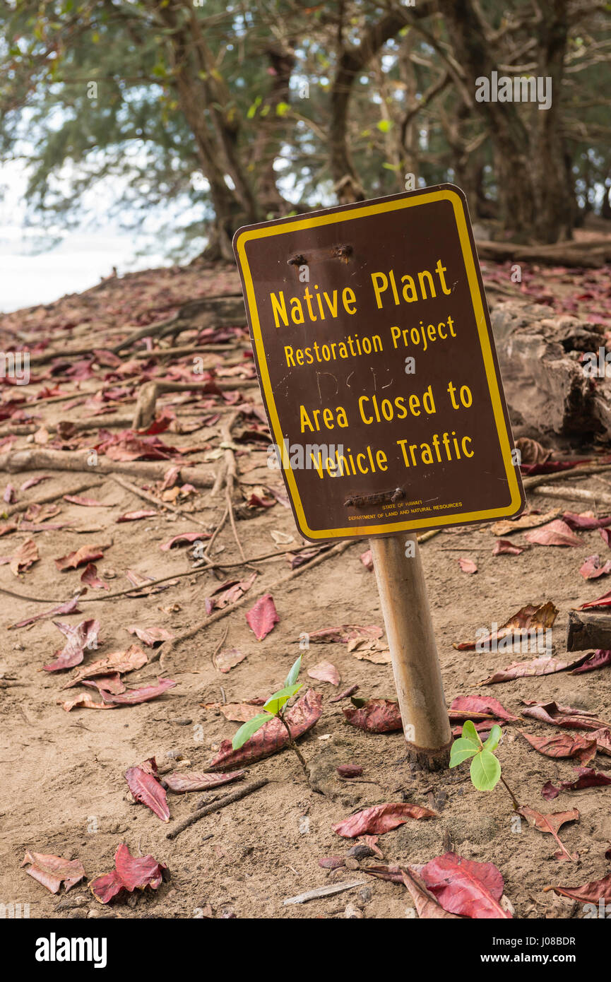 Area closed for restoration hi-res stock photography and images - Alamy