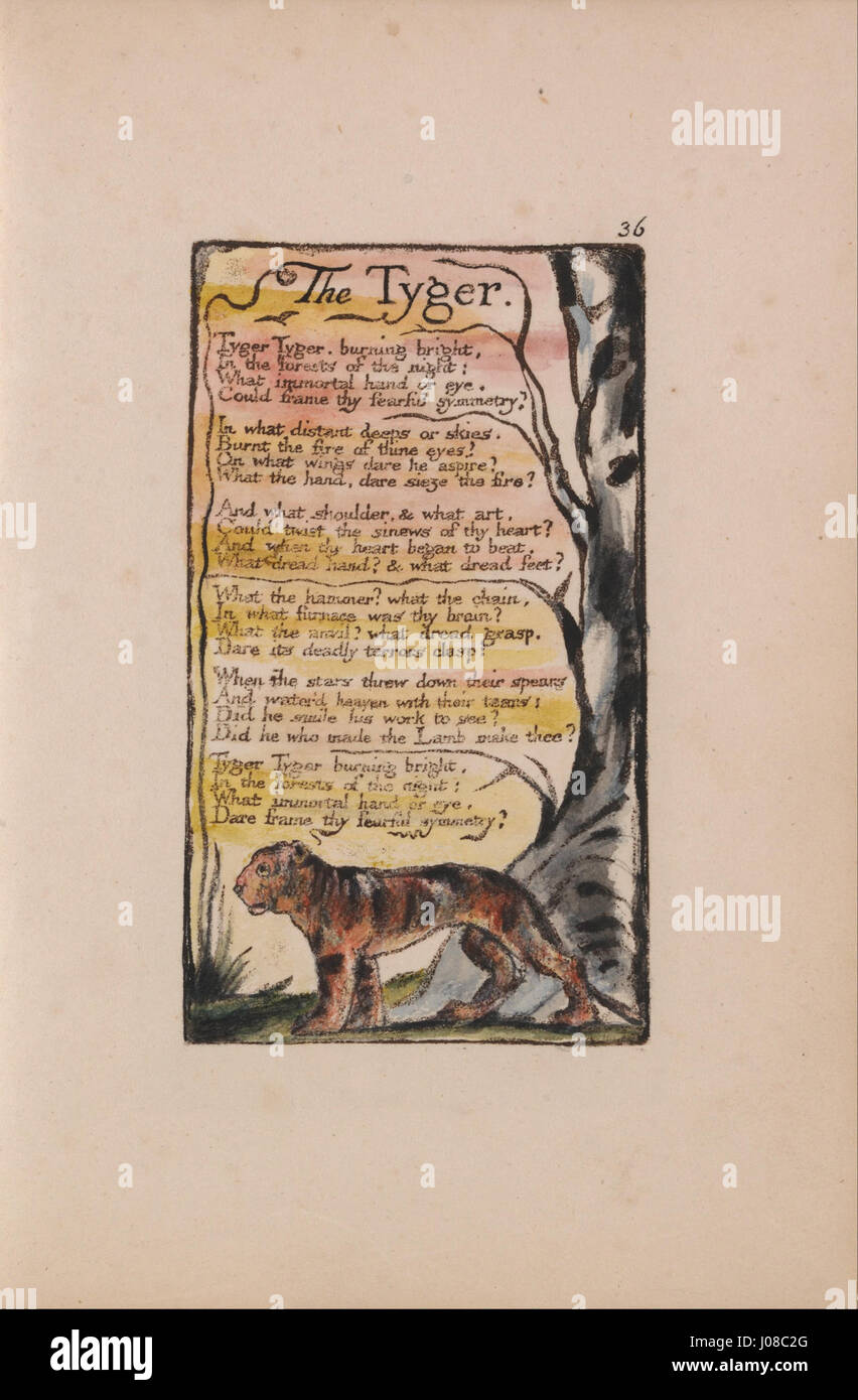 William blake tyger hi-res stock photography and images - Alamy
