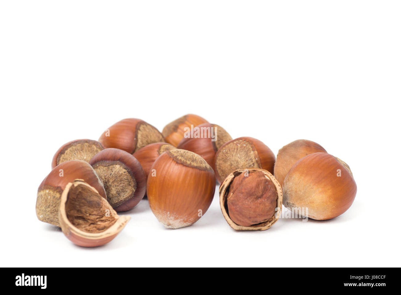 hazelnut close-up on white background healthy macro Stock Photo - Alamy