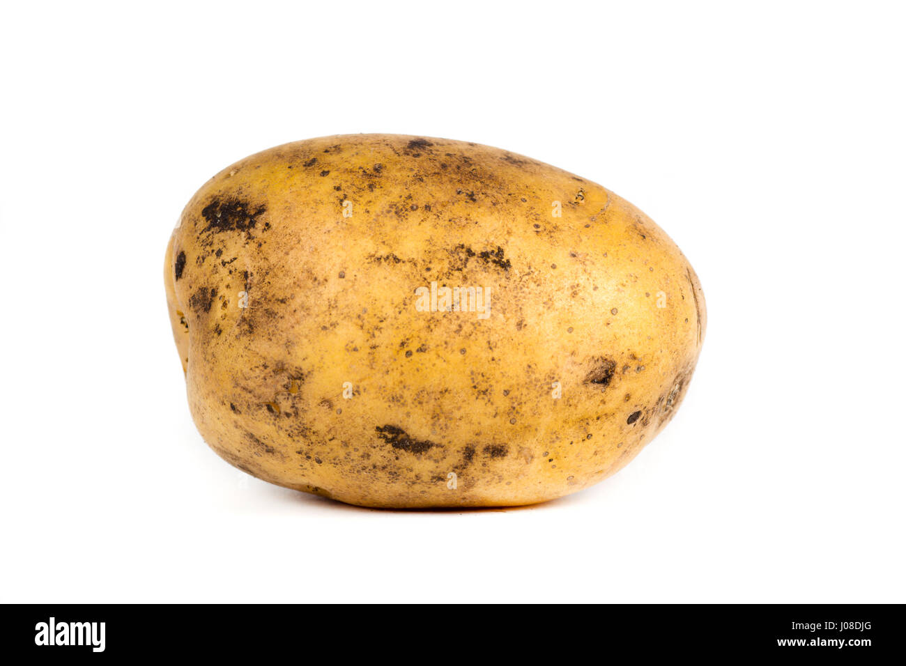 potato close up isolated on white background Stock Photo - Alamy