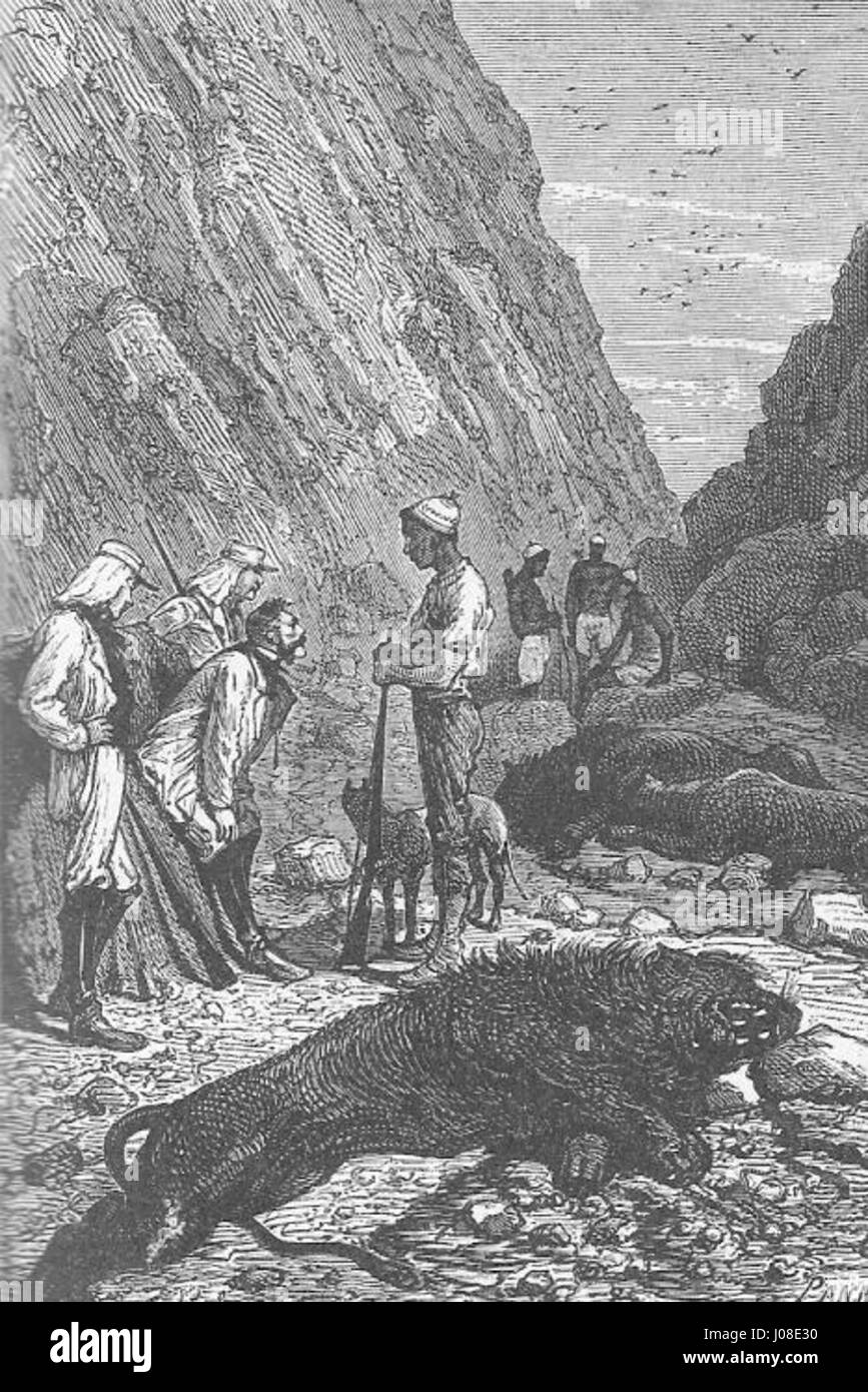 'The Adventures of Three Englishmen and Three Russians in South Africa ...