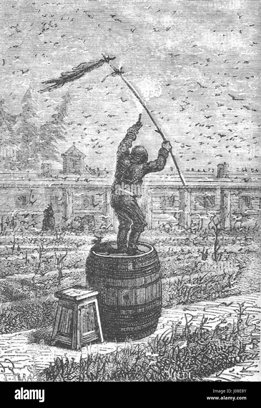 'The Fur Country' by Jules Férat and Beaurepaire depicts a dramatic ...