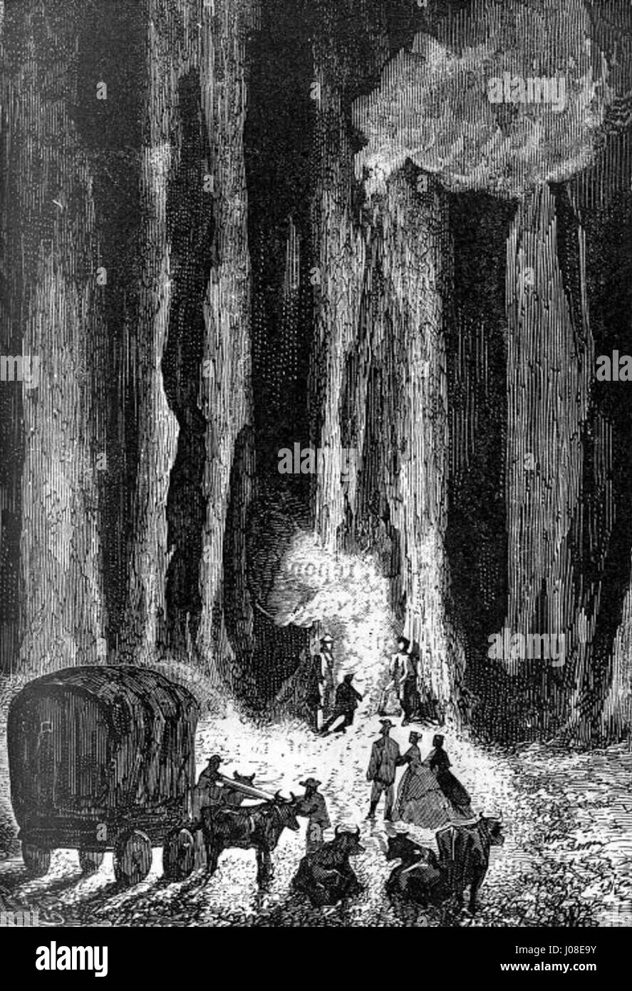 'The Children of Captain Grant' by Édouard Riou depicts scenes from ...