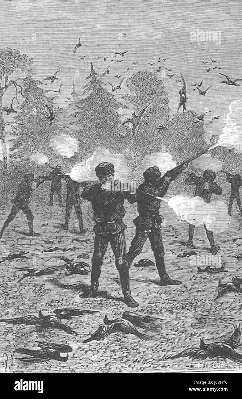 Fur trapping hi-res stock photography and images - Alamy