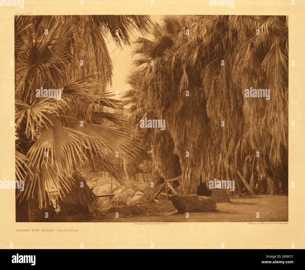Edward S. Curtis's photograph *Under the Palms – Cahuillai* captures a ...