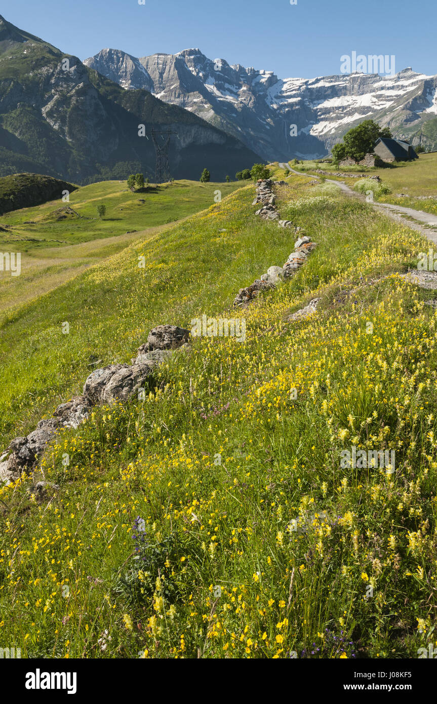 France, Pyrenees, Saugue plateau, meadow landscape with Cirque de ...