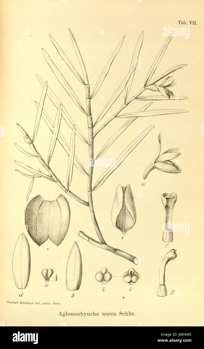 Karl moritz schumann hi-res stock photography and images - Alamy