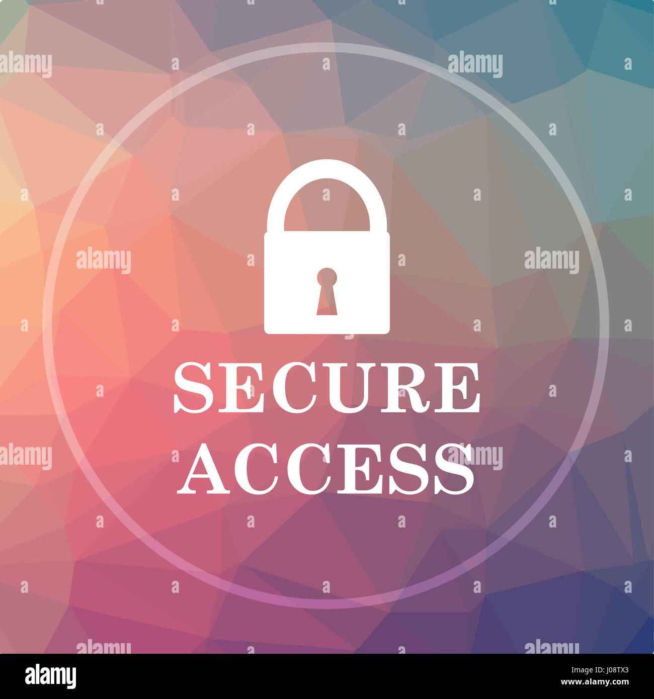 Secure access icon. Secure access website button on low poly background ...