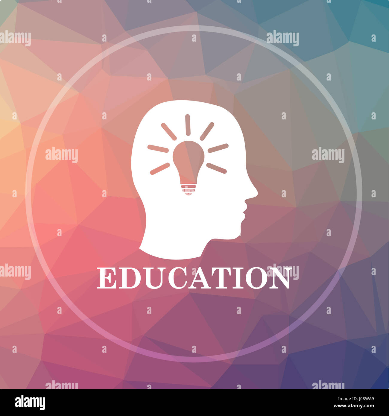 Education icon. Education website button on low poly background Stock ...