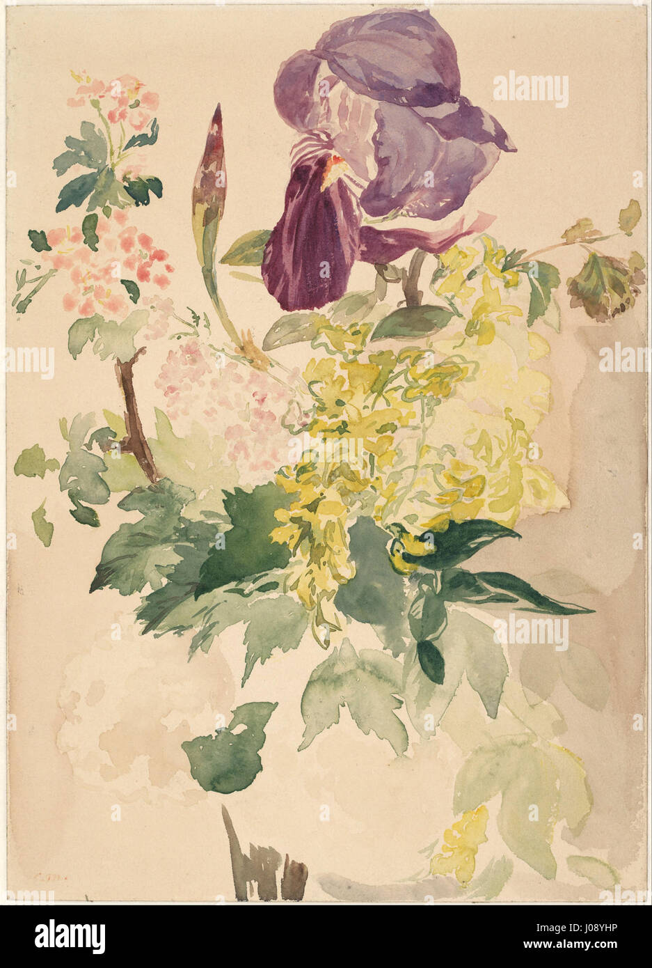 'Flower Piece with Iris, Laburnum, and Geranium' by Édouard Manet ...
