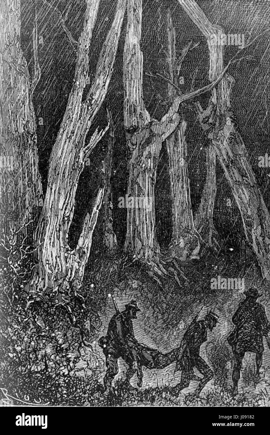 ‘The Children of Captain Grant’ by Édouard Riou is an illustration from ...