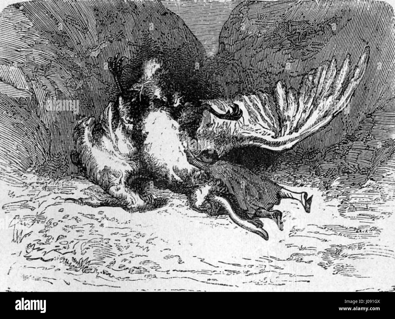 Édouard Riou’s illustration from Jules Verne’s novel 'The Children of ...