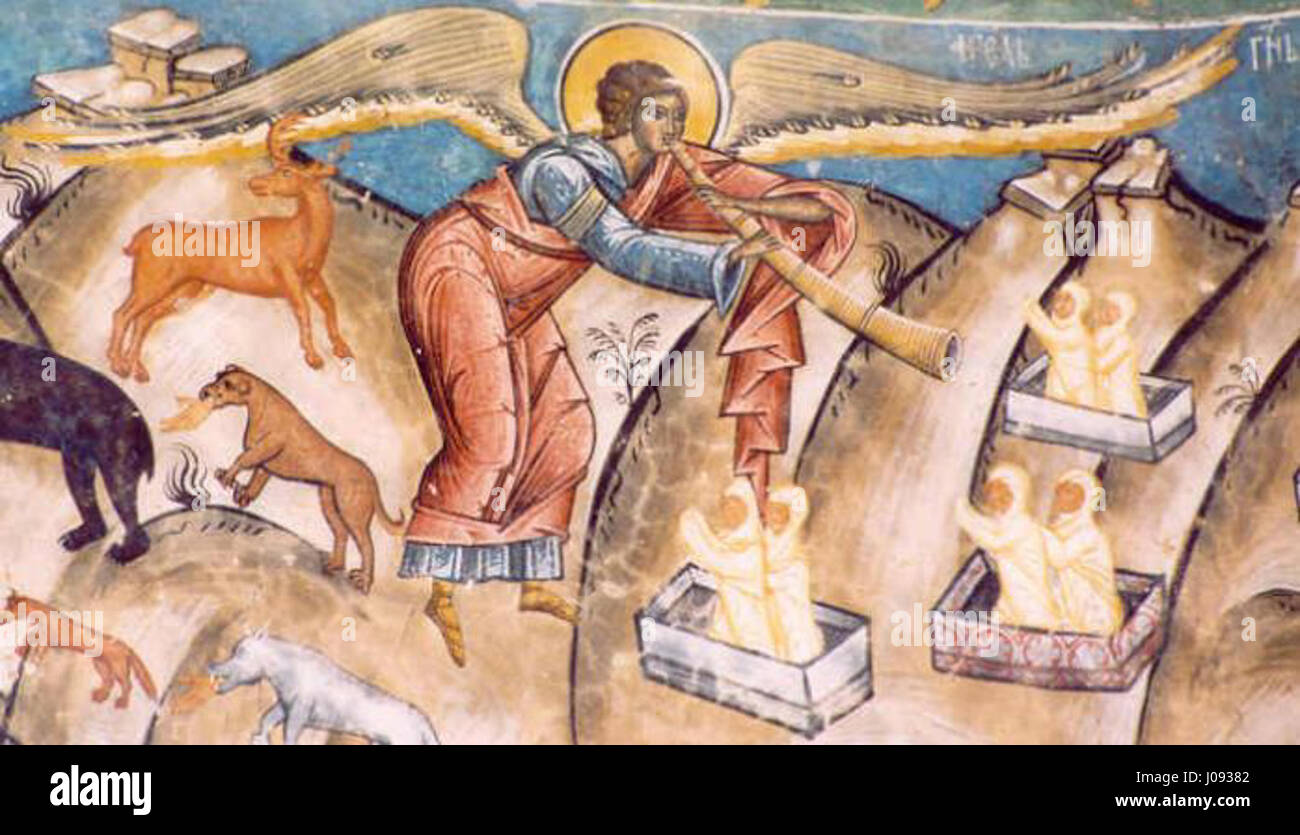 Bucium hi-res stock photography and images - Alamy