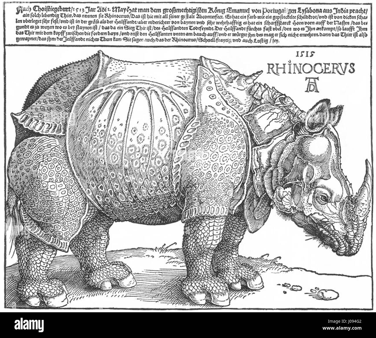 Albrecht Dürer's 'Rhinoceros' (1515) is a woodcut engraving that ...