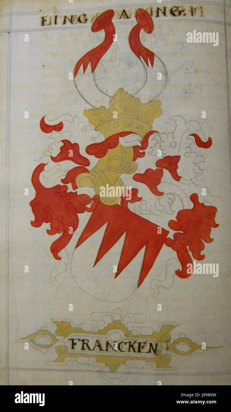 The 'Rixner Turnierbuch' is a 17th-century manuscript detailing ...