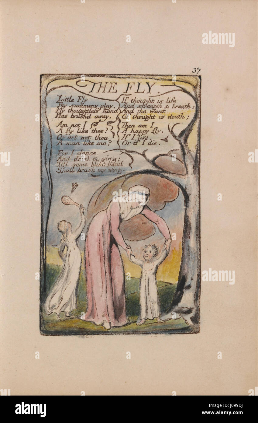 William Blake's 'The Fly' from 'Songs of Innocence and Experience ...