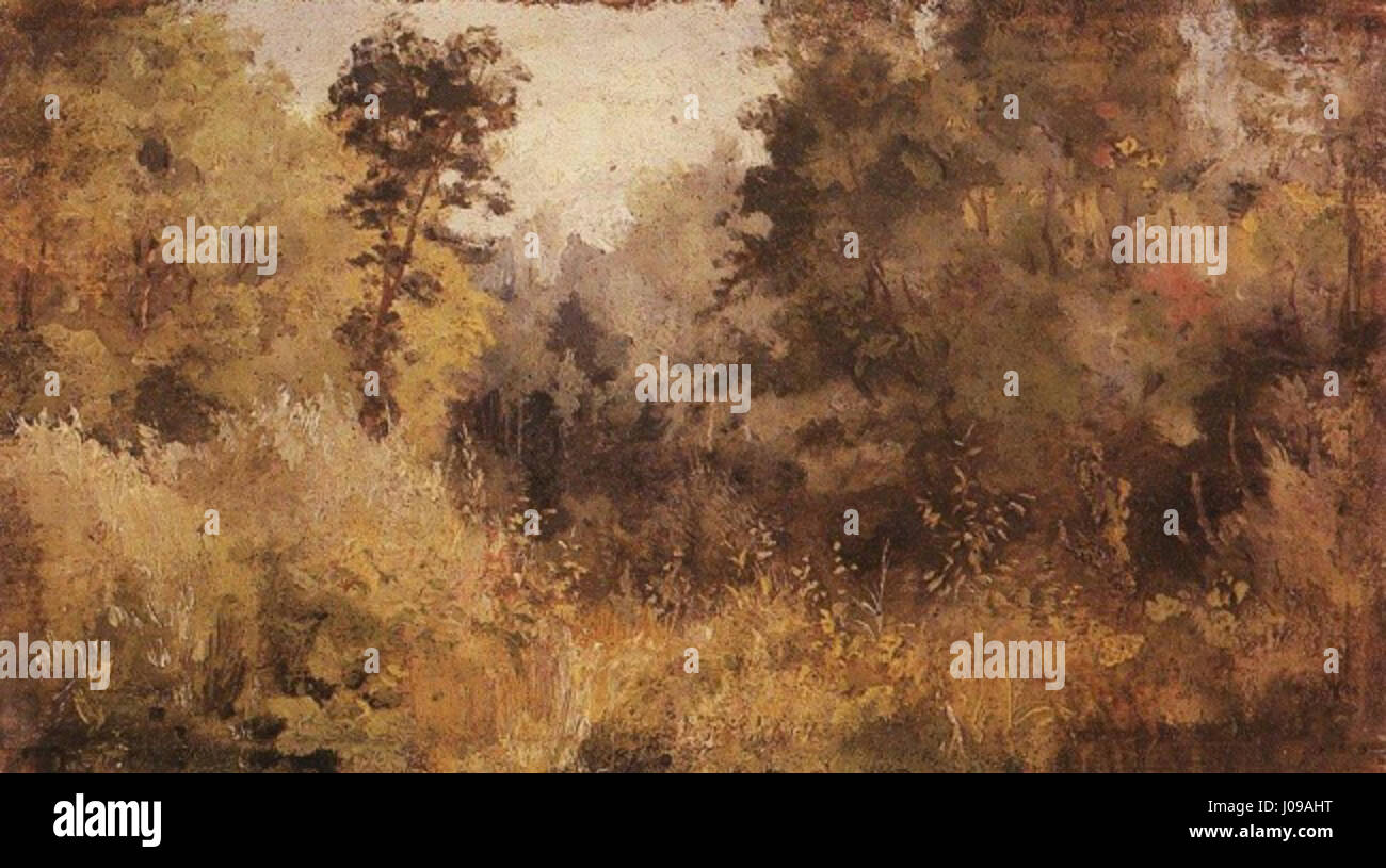 'Ancient Rus in Images and Inscriptions' showcases historical ...