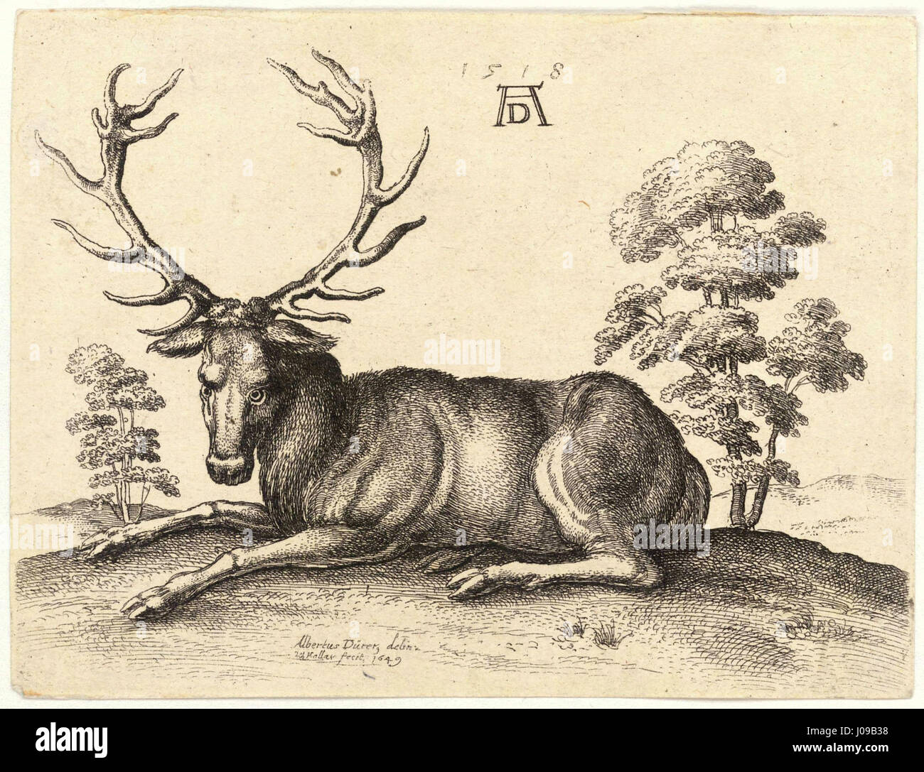 Wenceslas Hollar’s engraving 'A Stag Lying, After Dürer' is a ...